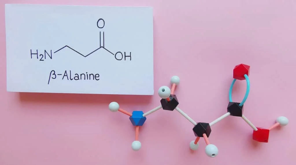 Beta alanina, un aminoácido suplemento en los PRE-WORKOUT